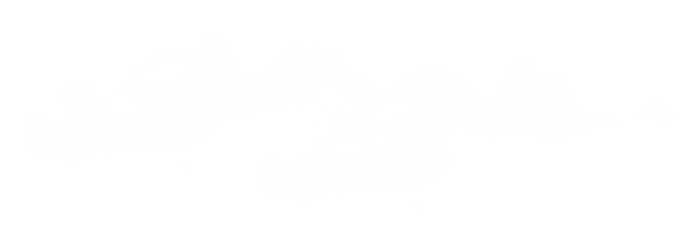 About Badael – Leading the Smoke-Free Movement in Saudi Arabia